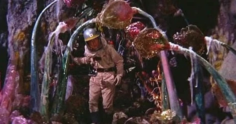 Infant Island | Movie Database Wiki | Fandom