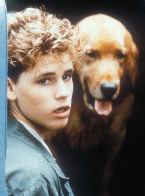 Travis Cornell | Movie Database Wiki | Fandom