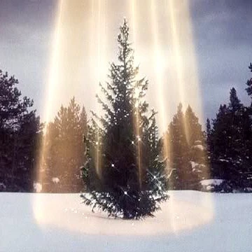 Christmas tree | Movie Database Wiki | Fandom