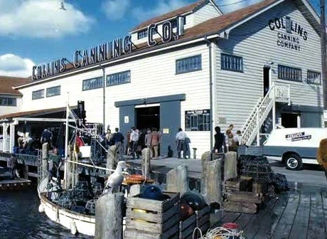 Collins Canning Company | Movie Database Wiki | Fandom