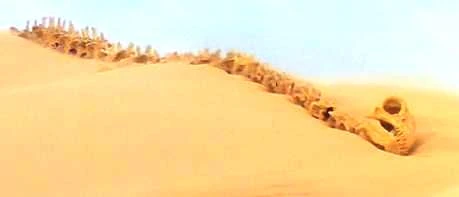 Krayt dragons | Movie Database Wiki | Fandom