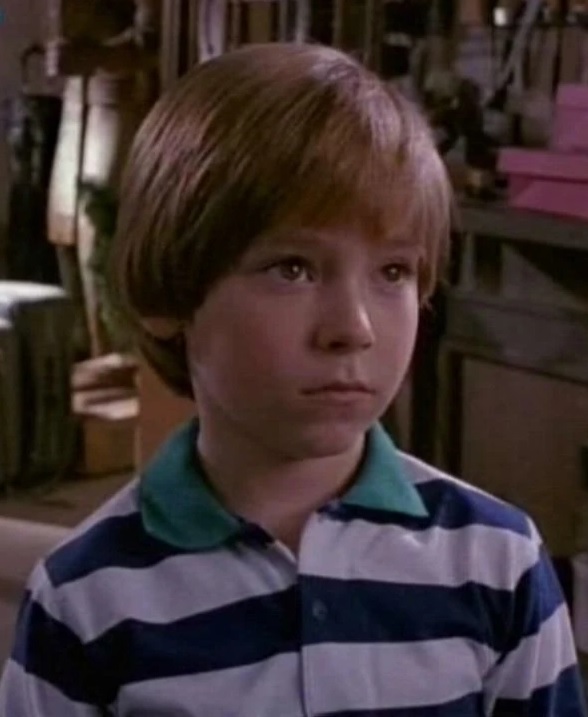 Andy Barclay | Movie Database Wiki | Fandom Andy Barclay | Movie Database Wiki | Fandom