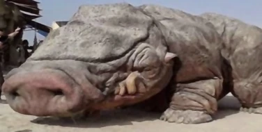 Happabores | Movie Database Wiki | Fandom