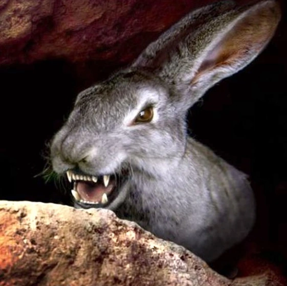 Little Man meets Night of the Lepus | Movie ideas Wiki | Fandom