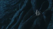 Sleepy Hollow | The Film Killcount Wikia | Fandom