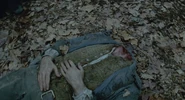 Sleepy Hollow | The Film Killcount Wikia | Fandom