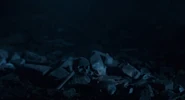 The Terminator | The Film Killcount Wikia | Fandom