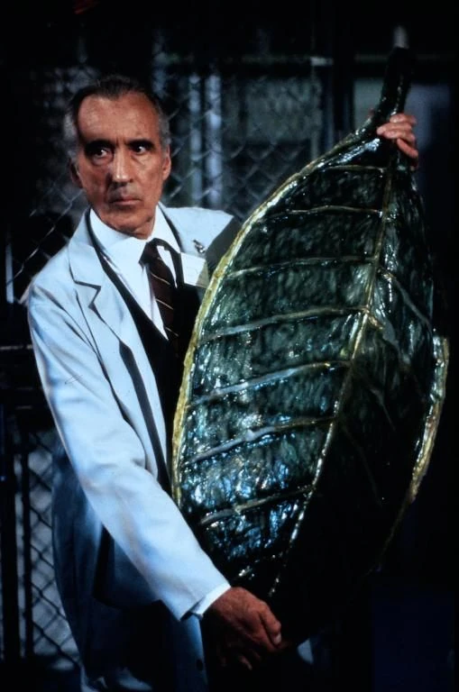 Dr. Catheter | Movie Morgue Wiki | Fandom