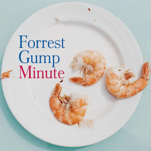 Forrest Gump Minute | Movies by Minutes Wiki | Fandom
