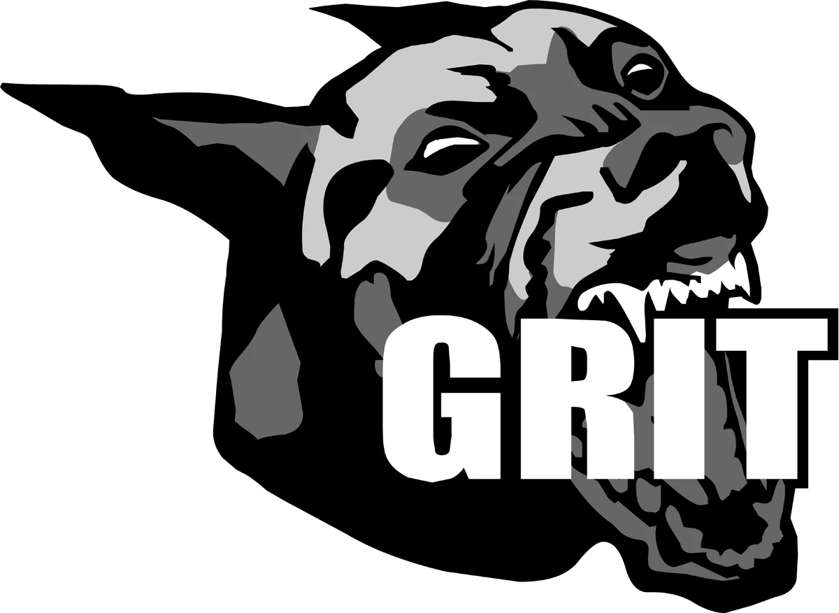 Grit • Thema 2020 | MovieStarPlanet Wiki | Fandom