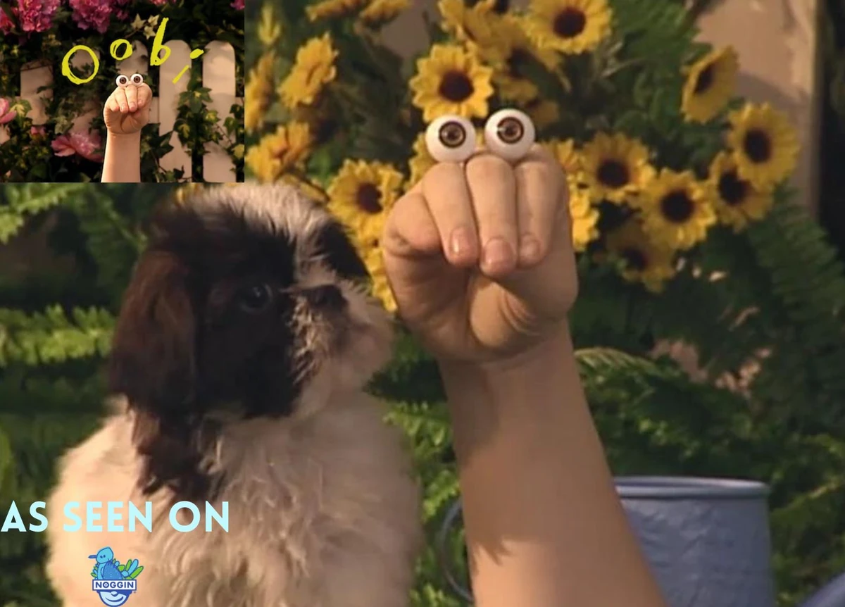 Oobi | Moviestars Programs 1965-2021 Wiki | Fandom