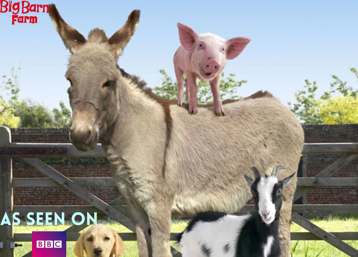 Big Barn Farm | Moviestars Programs 1965-2021 Wiki | Fandom