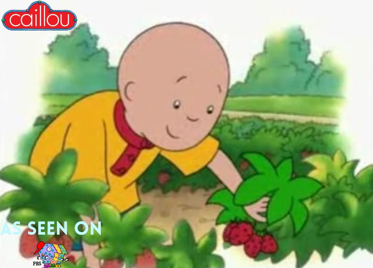 Caillou | Moviestars Programs 1965-2021 Wiki | Fandom