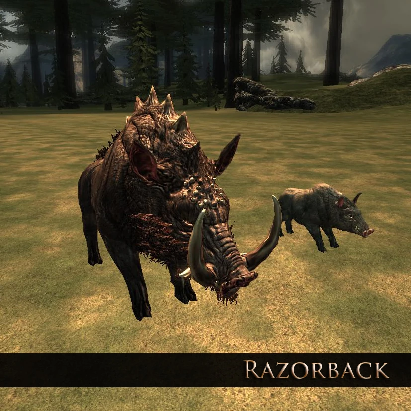 Razorback | Mortal Online Wiki | Fandom