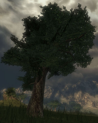 Greywood | Mortal Online Wiki | Fandom