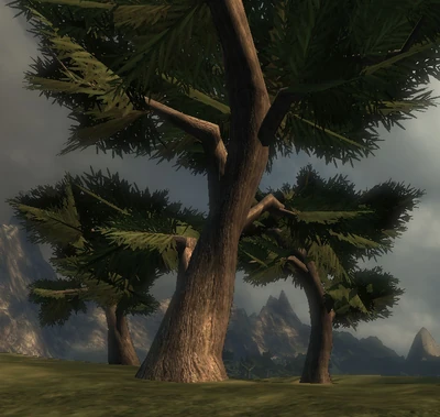 Brownwood | Mortal Online Wiki | Fandom