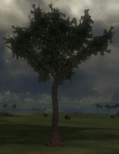 Whitewood | Mortal Online Wiki | Fandom