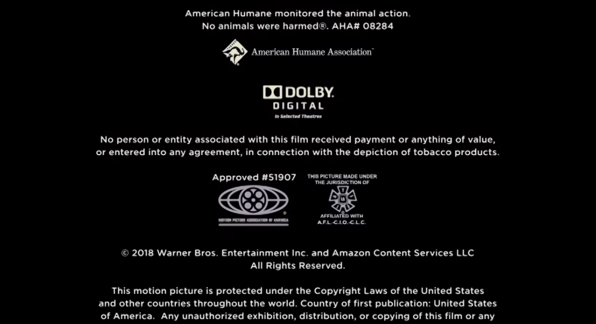 2019 | MPAA (Motion Picture Association of America) Wiki | Fandom