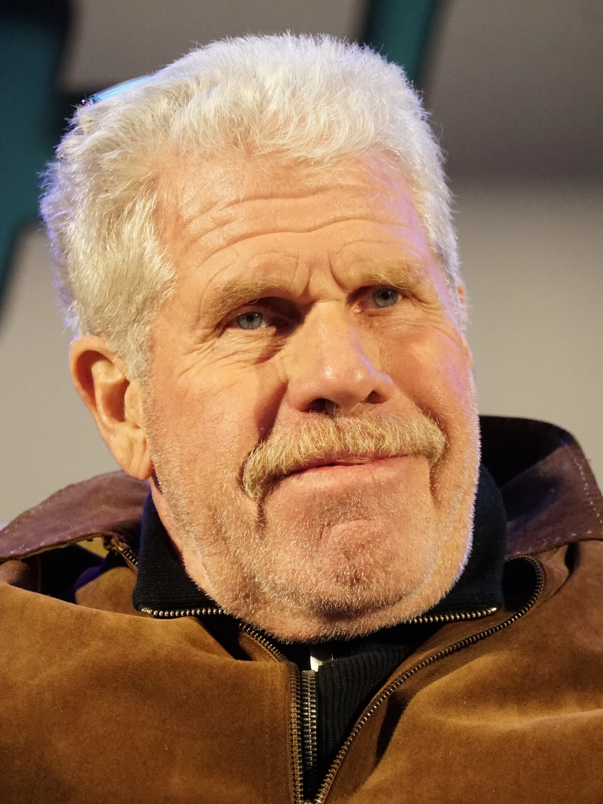 Ron Perlman | Mr. & Mrs. Smith Wiki | Fandom