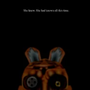 Mr. Stripes | Mr. Hopp's Playhouse Wiki | Fandom