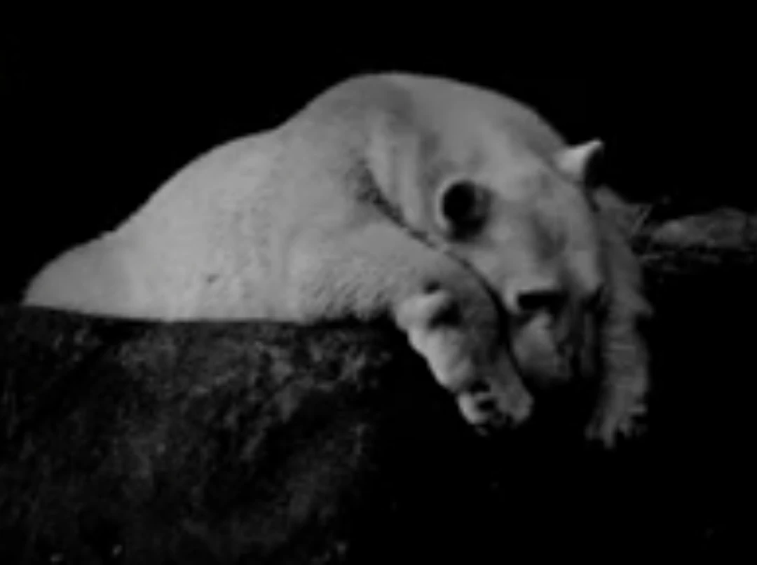 Phase 93 (Antonius Ziyan) | Mr Incredible Becoming Sad Wiki | Fandom