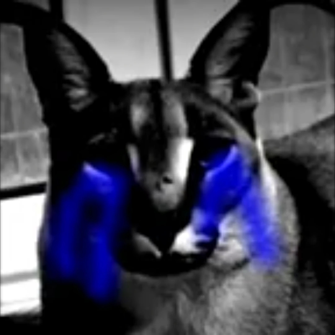 Phase 54 (Antonius Ziyan) | Mr Incredible Becoming Sad Wiki | Fandom