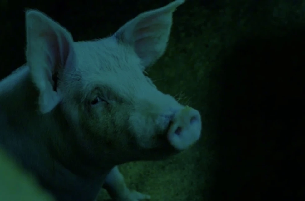 Phase 273 (???) | Mr Incredible Becoming Sad Wiki | Fandom