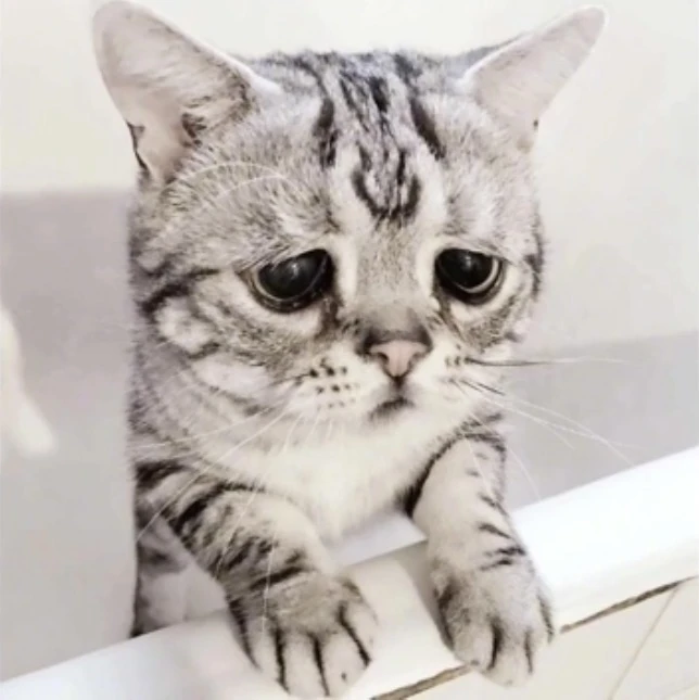 Phase 267 (???) | Mr Incredible Becoming Sad Wiki | Fandom