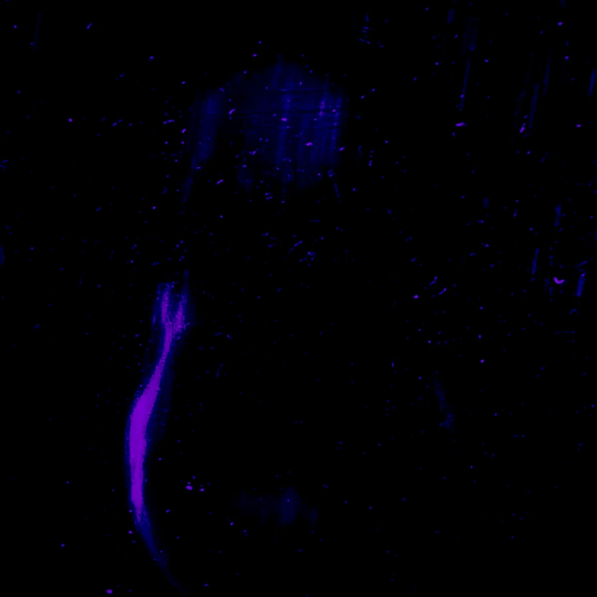 Phase 8000 (Antonius Ziyan) | Mr Incredible Becoming Sad Wiki | Fandom