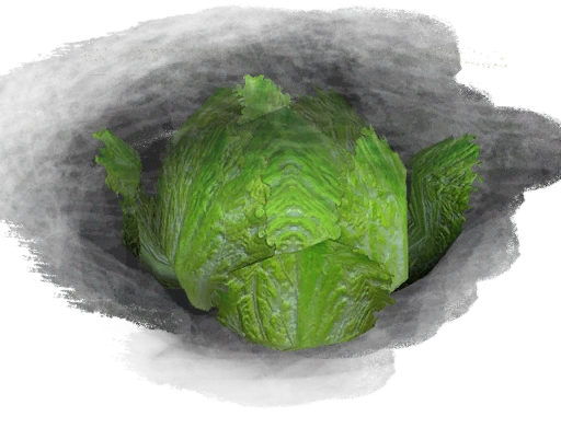 Cabbage | Mr. Prepper Wiki | Fandom