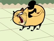 Scrapper | Mr. Bean Wiki | Fandom