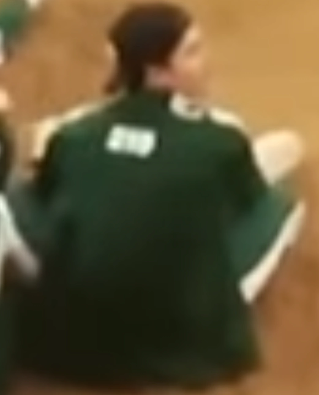 Player 210 | MrBeast Squid Game Wiki | Fandom