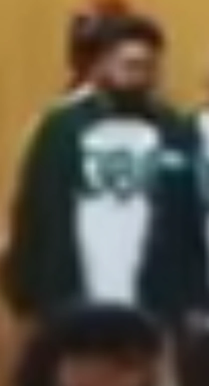 Player 384 | MrBeast Squid Game Wiki | Fandom