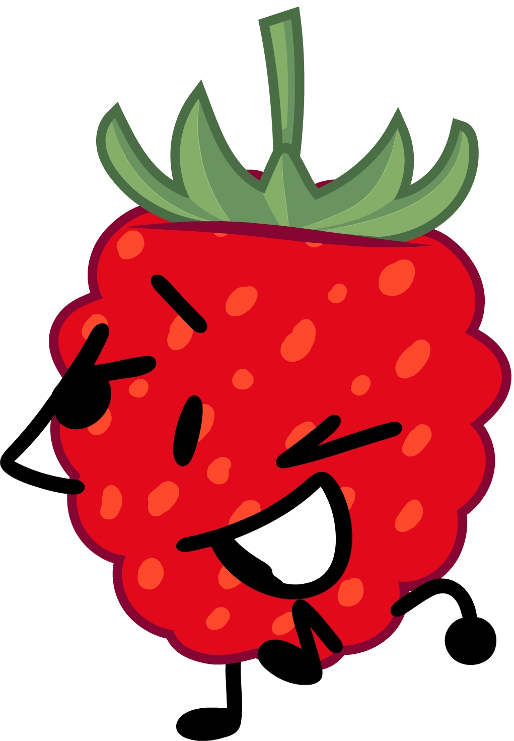 Raspberry | MrCosmic Comet Wiki | Fandom