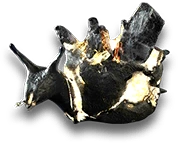 Flamecaller Originium Slug | Arknights Wiki | Fandom