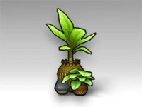 Tropical Potted Plant | Arknights Wiki | Fandom