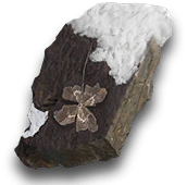 Four-Leaf Clover Fossil | Arknights Wiki | Fandom