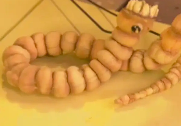 Tapeworm | Mr. Meaty Wiki | Fandom