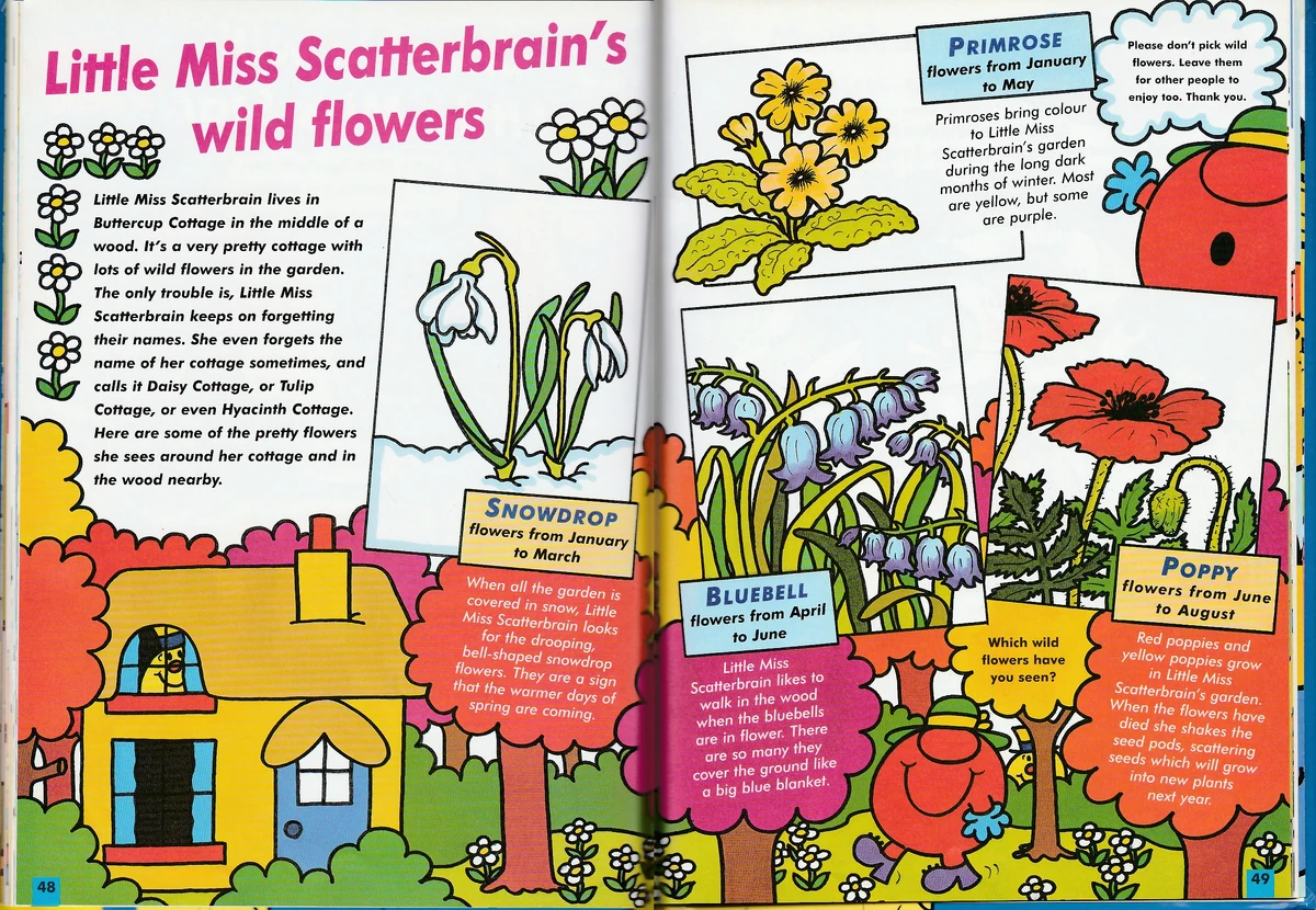 Little Miss Scatterbrain's Wild Flowers | Mr. Men Wiki | Fandom