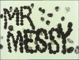 Mr. Messy (Cartoon) | Mr. Men Wiki | Fandom