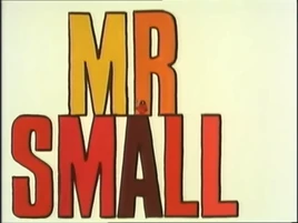 Mr. Small (Cartoon) | Mr. Men Wiki | Fandom