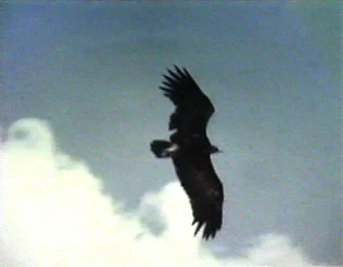 Episode 2963 | Mrmikeymini Wiki | Fandom