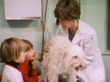 Episode 3609 | Mrmikeymini Wiki | Fandom