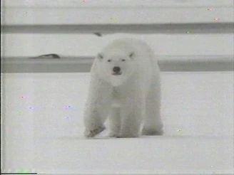 Episode 2963 | Mrmikeymini Wiki | Fandom