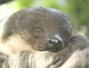 Episode 3664 | Mrmikeymini Wiki | Fandom