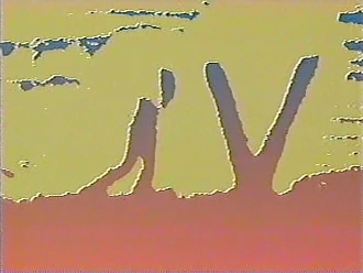 Episode 2963 | Mrmikeymini Wiki | Fandom