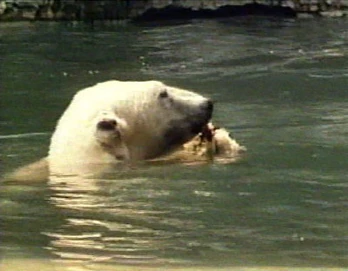 Episode 3610 | Mrmikeymini Wiki | Fandom