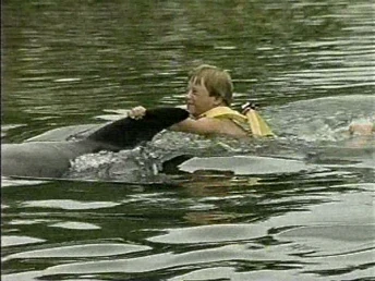 Episode 3294 | Mrmikeymini Wiki | Fandom