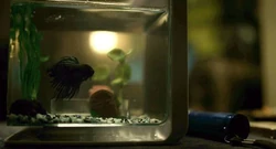 Qwerty | Mr. Robot Wiki | Fandom