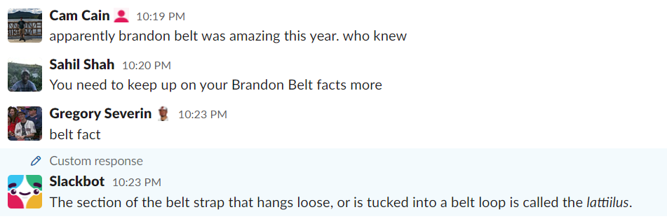 Belt Fact | M-SABR Slack Wiki | Fandom